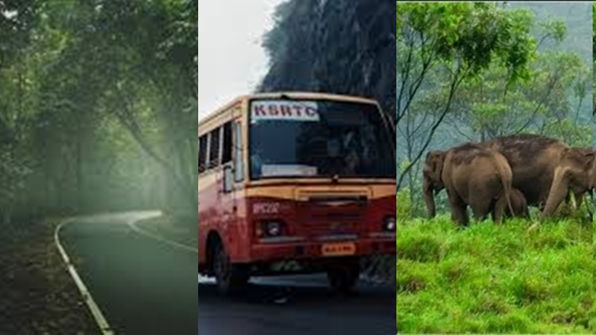Gavi Package; Enjoy Fog And Forest View Amid This summer, KSRTC Package ...
