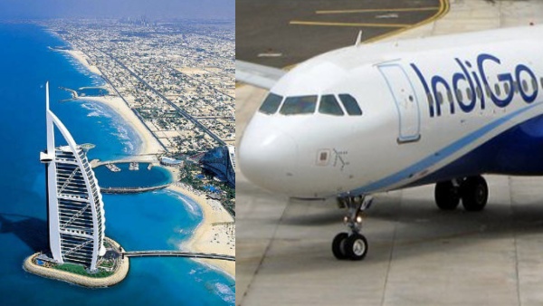 UAE-Kochi Flight: IndiGo To Start From March 15 Daily Non-Stop flights ...