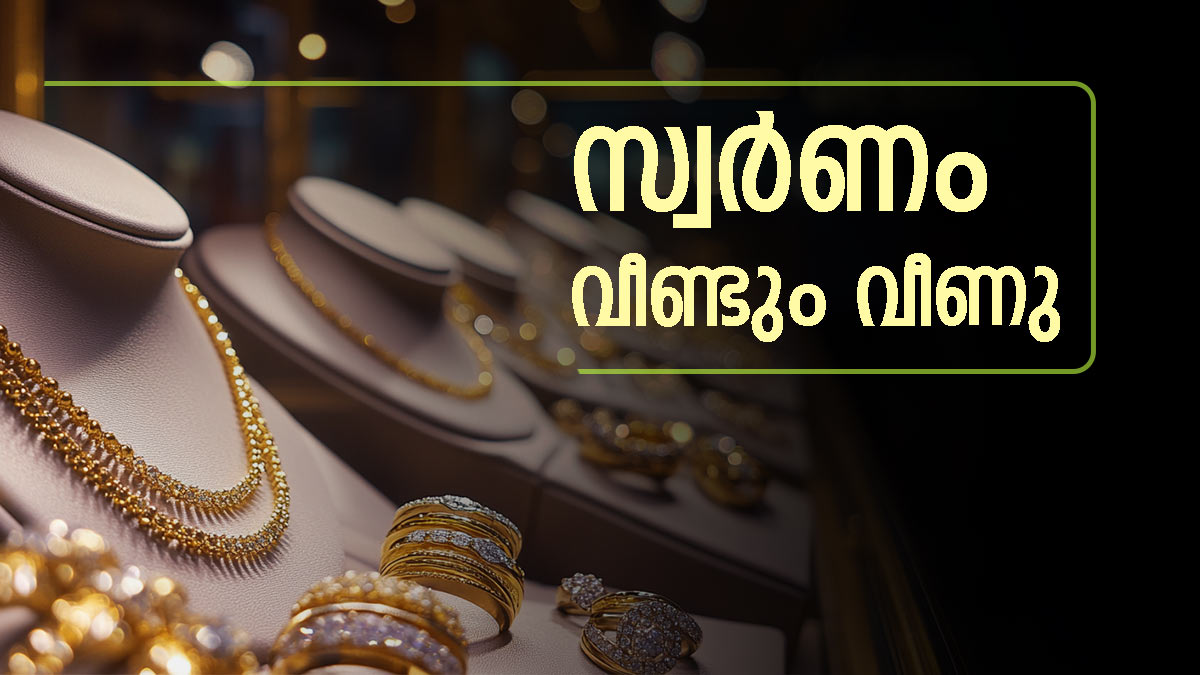 Gold Rate In Kerala Today Marked Huge Fall Per Pavan, Check Latest Gram ...