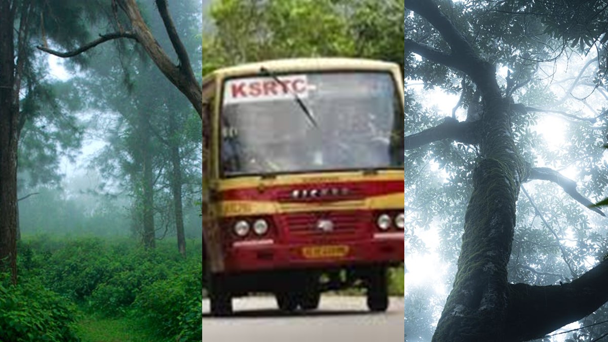 Munnar, ponmudi, gavi Rain Packages; Also Enjoy Poliyam thuruth and ...