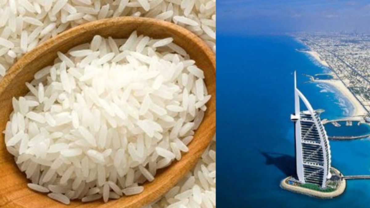 Saudi Arabia Import Increase If Iran Fall; India's Basmati Rice Prices ...