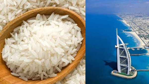 Saudi Arabia Import Increase If Iran Fall; India's Basmati Rice Prices ...