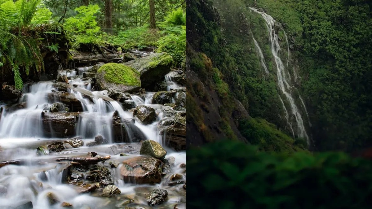athirapilly waterfalls, thommankuthu water fall, areekkal waterfall ...