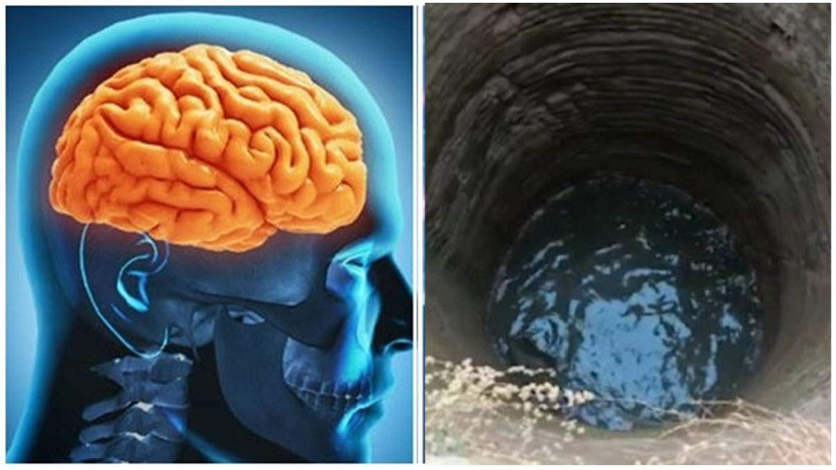 Amoebic Encephalitis in Kerala: In A Rare Case Amoeba Found In Well ...