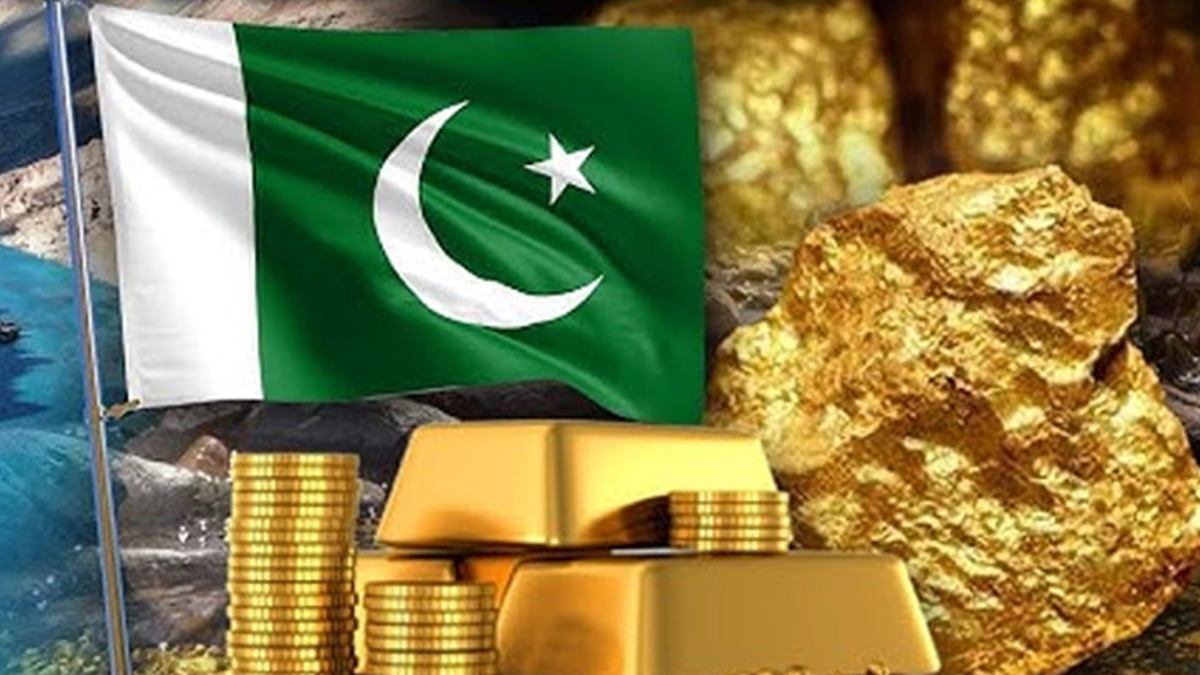 Pakistan has neither gold nor crude oil; everything is a lie, claims ...