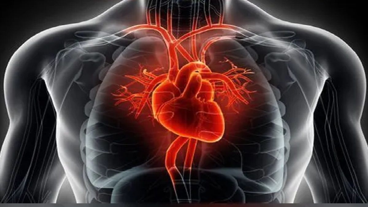 Silent heart attack is the biggest risk for diabetic patients, know the ...