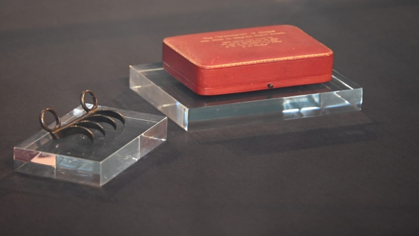 Devendra Fadnavis on Uddhav Thackeray, Sharad Pawar over fake waghnakhe ...