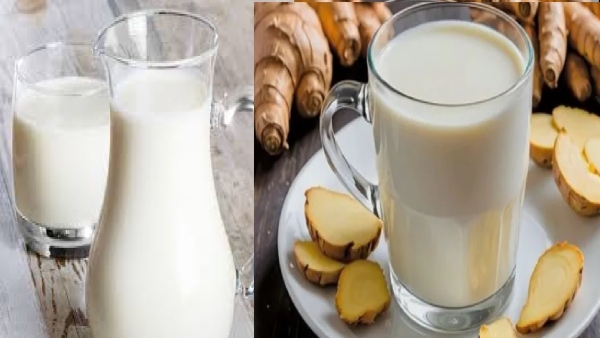 many benefits of drinking ginger milk Cough will disappear and you will ...