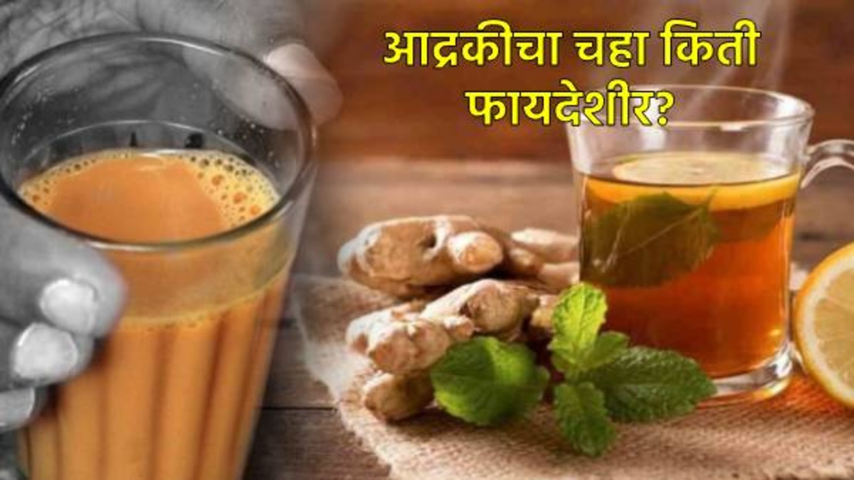 Know in detail how beneficial ginger tea is in winter in Marathi News ...