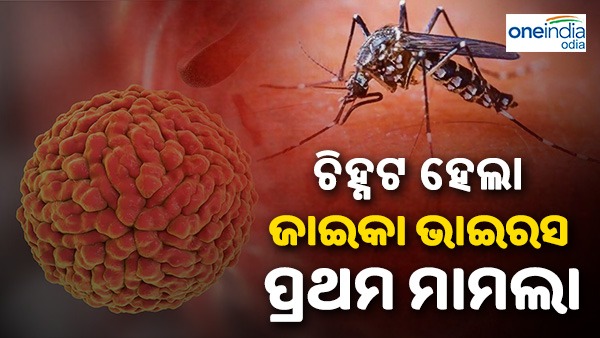 ସାମ୍ନାକୁ ଆସିଲା ଜାଇକା ଭାଇରସର ପ୍ରଥମ ମାମଲା, 5 ବର୍ଷର ବାଳିକା ପଜିଟିଭ୍ ଚିହ୍ନଟ ...