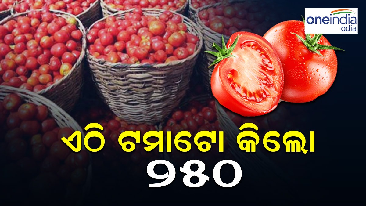 ଏଠି ଟମାଟୋ କେଜି ୨୫୦ ଟଙ୍କା: ଲୋକେ ଟମାଟୋ ଖାଇବେ ନା ଦେଖିକି ପେଟ ଭରି ଦେବେ ? | Tomato Price In ...
