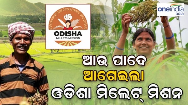 Odisha Millets Mission : ମାଣ୍ଡିଆର ଭୂ-ପ୍ରଜାତିକୁ ବିହନ ପ୍ରଣାଳୀରେ ଜାରି ...