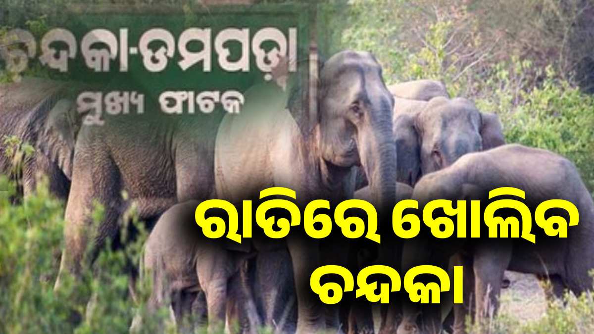 ୱାଇଲ୍ଡ ଲାଇଫ୍ ପର୍ଯ୍ୟଟକଙ୍କ ପାଇଁ ଖୁସି ଖବର, ଏଣିକି ରାତିରେ ବୁଲି ହେବ ଚନ୍ଦକା ...