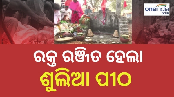 Sulia Jatra: ପୁଣି ରକ୍ତରେ ଭିଜିଲା ଶୁଲିଆ ପୀଠ; ଦିଆଗଲା ଶହ ଶହ ସଂଖ୍ୟାର ପଶୁ ବଳି ...
