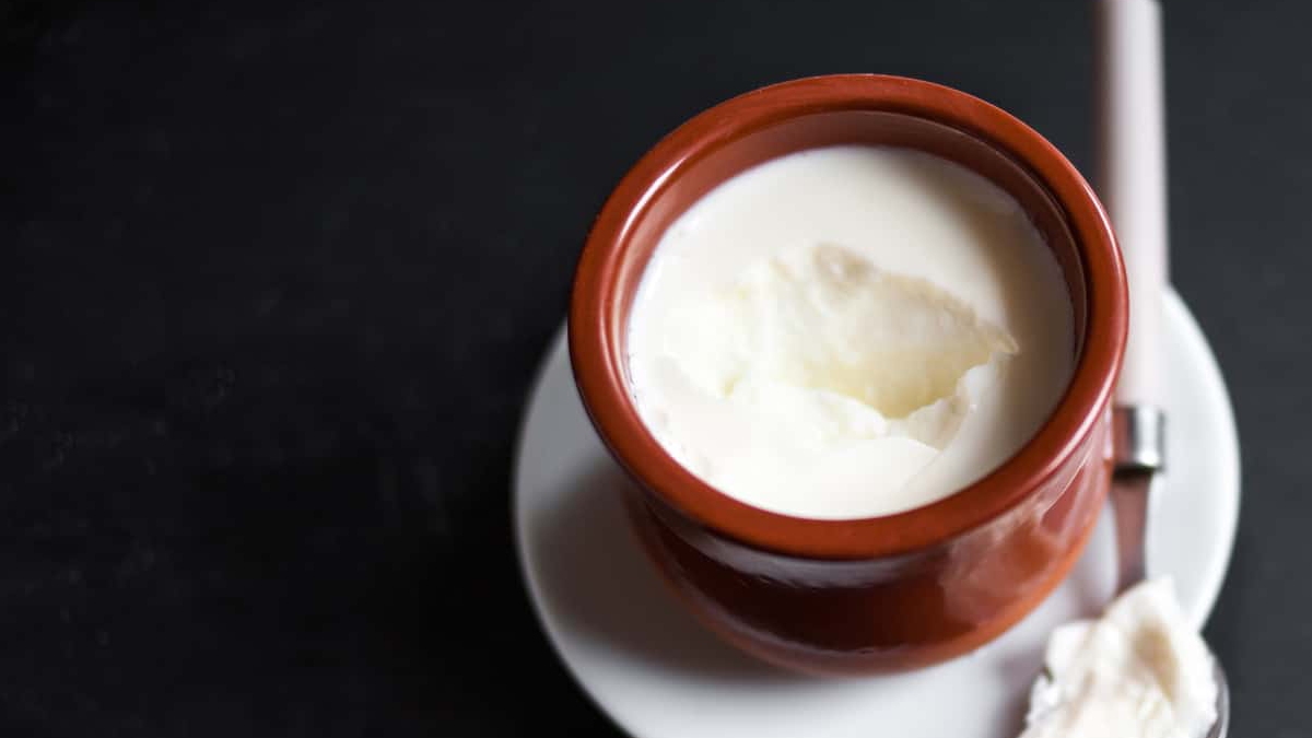 ସକାଳୁ ଦହି ଖାଇଲେ ଏହି ସବୁ ରୋଗରୁ ମିଳିଥାଏ ମୁକ୍ତି, ଆଜି ହିଁ ଖାଦ୍ୟରେ ସାମିଲ ...