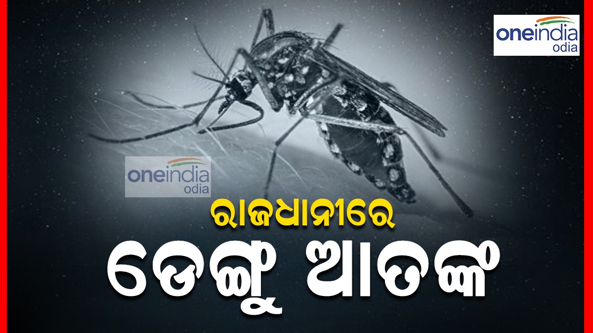 ଖୋର୍ଦ୍ଧାରେ ଡେଙ୍ଗୁ ଆତଙ୍କ, ଗୋଟାଏ ଦିନରେ ୮୦ ରୋଗୀ ଚିହ୍ନଟ | Dengue panic in ...