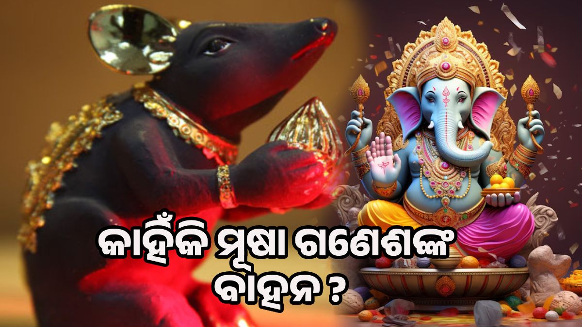କାହିଁକି ଭଗବାନ ଗଣେଶଙ୍କର ମୂଷା ହେଲା ବାହନ ? ଜାଣନ୍ତୁ ପୌରାଣିକ ତତ୍ତ୍ଵ | Why ...