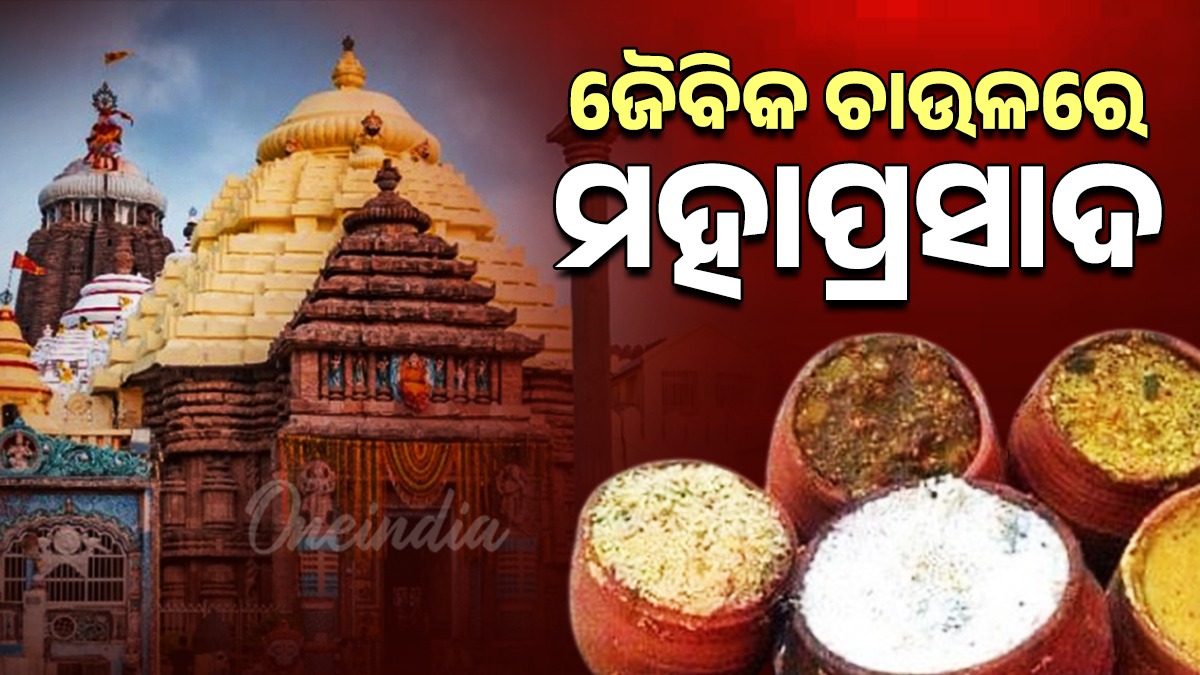 ମହାପ୍ରଭୁଙ୍କ ପାଖରେ ଲାଗି ହେଲା ପାଞ୍ଚ ପ୍ରକାର ଜୈବିକ ଚାଉଳରେ ପ୍ରସ୍ତୁତ ଅମୃତ ...