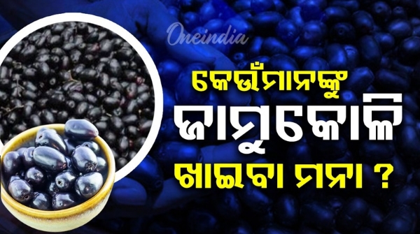 କେଉଁମାନଙ୍କୁ ଜାମୁକୋଳି ଖାଇବା ମନା ? | lifestyle Whom are restriction to ...