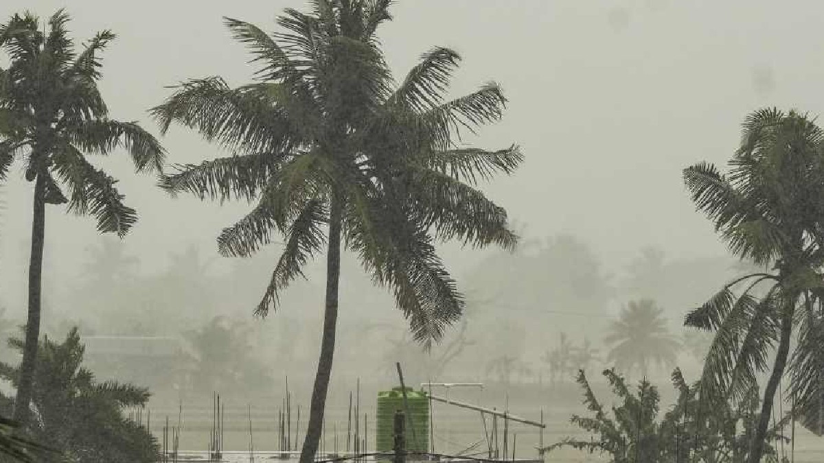 ତାଇୱାନରେ ପ୍ରକୃତି ରଚିଲା ମୃତ୍ୟୁର ତାଣ୍ଡବ; ୨ ମୃତ, ଅନେକ ଆହତ | Typhoon Danas ...