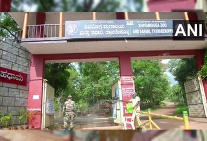 Shimoga Zoo and Safari in Tyavarekoppa reopened - Oneindia