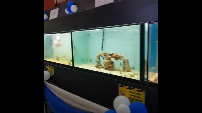 Indian Railways Opens first tunnel aquarium at KSR railway station ...