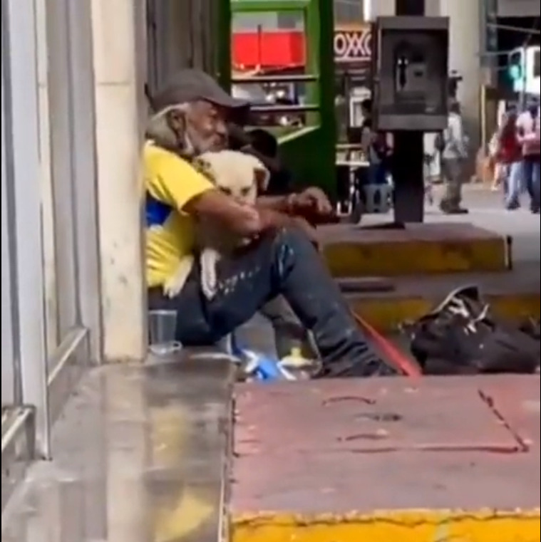 PHOTOS : கஷ்டத்தில் இருந்தால் கட்டிபிடிக்கும் நாய்... அன்பை அள்ளித் ...