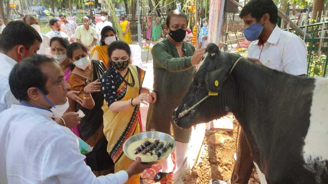 ಚಿತ್ರಗಳು; ಬೆಂಗಳೂರಿನ ಸಜ್ಜನ್ ರಾವ್ ಸರ್ಕ್‌ಲ್‌ನಲ್ಲಿ ಸಂಕ್ರಾಂತಿ ಸಂಭ್ರಮ ...