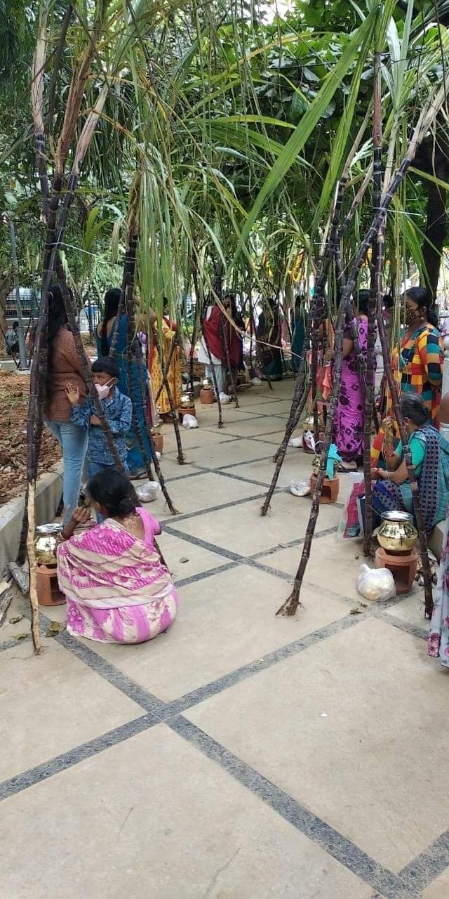 ಚಿತ್ರಗಳು; ಬೆಂಗಳೂರಿನ ಸಜ್ಜನ್ ರಾವ್ ಸರ್ಕ್‌ಲ್‌ನಲ್ಲಿ ಸಂಕ್ರಾಂತಿ ಸಂಭ್ರಮ ...