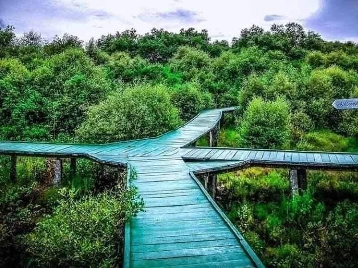 'కోరంగి అభయారణ్యం' అందాలను చూసి తీరాల్సిందే | Everyone Must Visiting ...