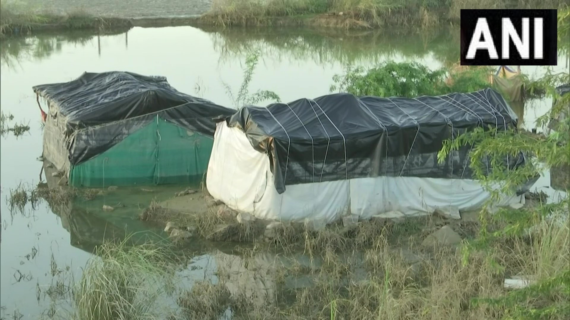 Morning Bulletin: एक Click में पढ़ें आज की बड़ी खबरें | Read All ...