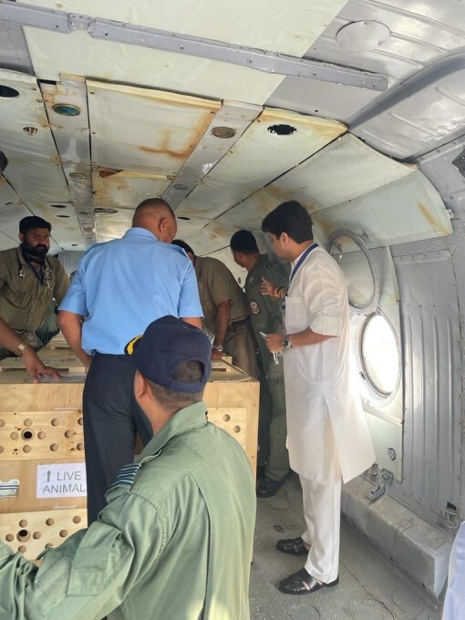 A Special Cargo Flight, Carrying 8 Cheetahs From Namibia, Landed In ...
