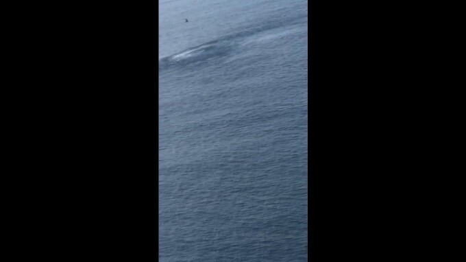 ICG Dornier aircraft lined up to locate the MiG-29K fighter jet - Oneindia