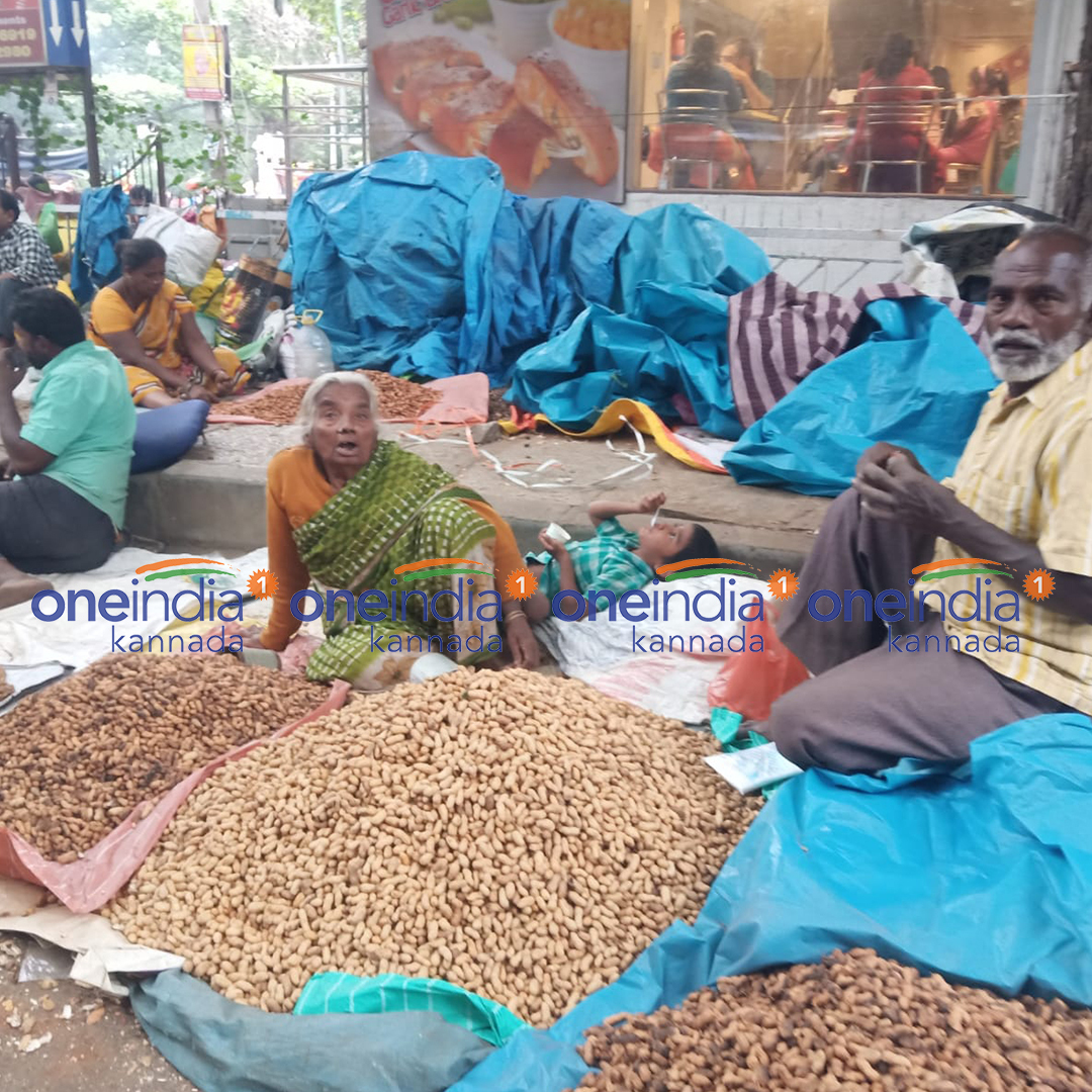 ಬಸವನ ಗುಡಿಯಲ್ಲಿ ಕಡಲೆಕಾಯಿ ಪರಿಷೆ; ಗಮನ ಸೆಳೆದ ಕಡಲೆಕಾಯಿ ವಿವಿಧ ತಳಿಗಳು ...