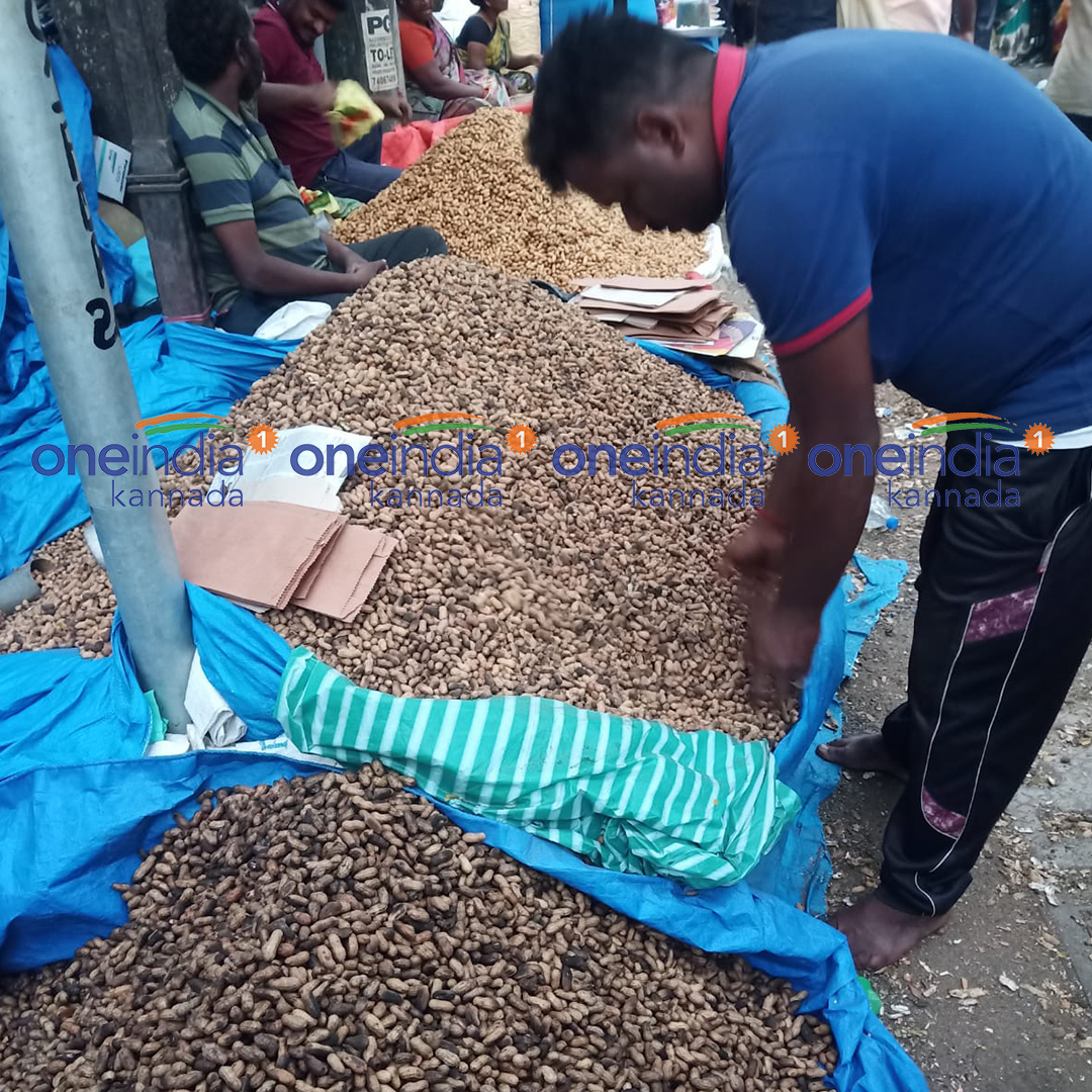 ಬಸವನ ಗುಡಿಯಲ್ಲಿ ಕಡಲೆಕಾಯಿ ಪರಿಷೆ; ಗಮನ ಸೆಳೆದ ಕಡಲೆಕಾಯಿ ವಿವಿಧ ತಳಿಗಳು ...