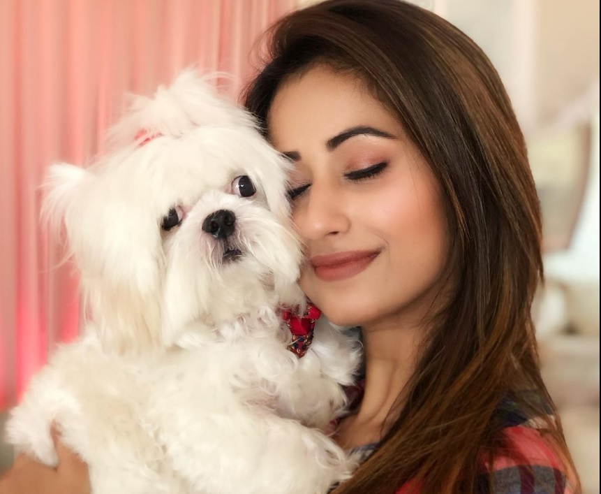 Maera Mishra: IAS बनना चाहती थीं 'भाग्य लक्ष्मी' की मलिष्का, इस एक्टर ...