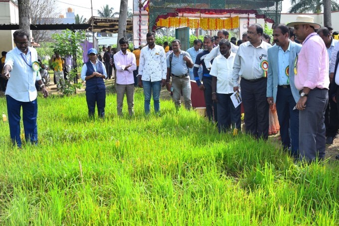 ಮಂಡ್ಯ ಕೃಷಿ ಮೇಳ- 2022: ಗಮನ ಸೆಳೆದ ಭತ್ತದ ಕೃಷಿ, ತಳಿಗಳು | Mandya Krishi Mela ...