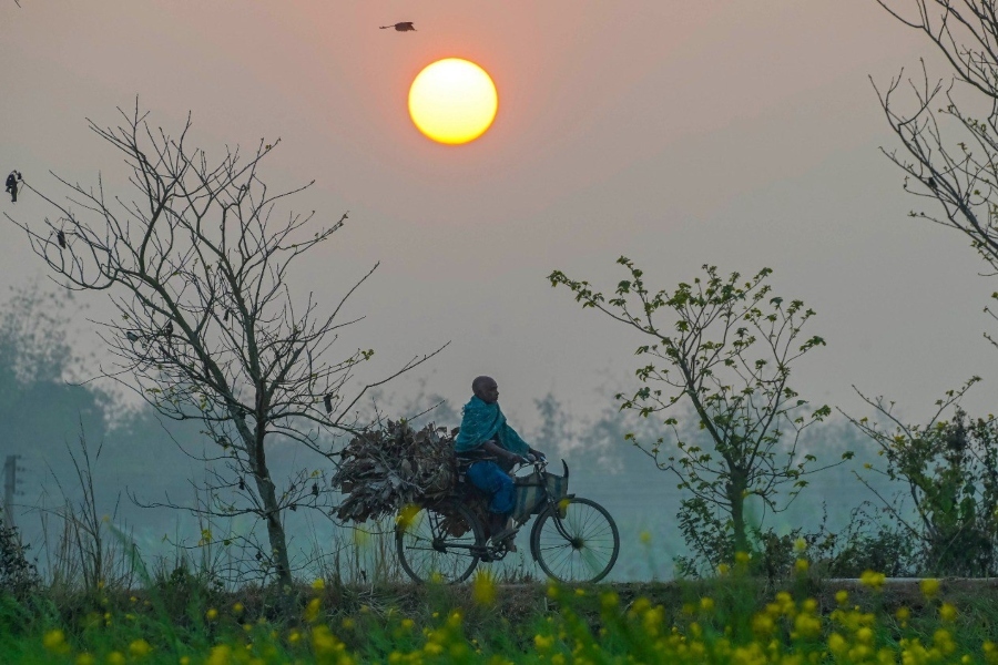 নদিয়া থেকে নয়ডা, হাড় কাঁপানো শীতে জুবথবু দেশবাসী, দেখুন ছবি | Noida ...