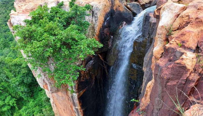 शिशुपाल पर्वत है छत्तीसगढ़ की शान, मन मोह लेता है इसका कुदरती सौंदर्य ...