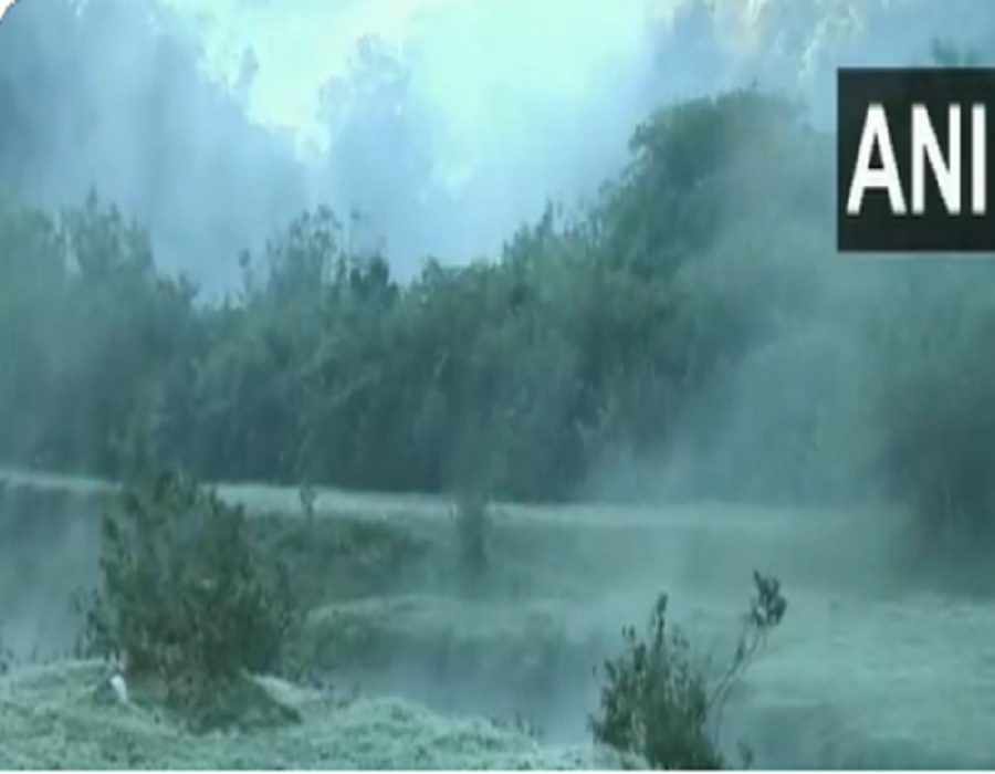 Munnar Weather Pictures: कोहरे के आगोश में केरल का स्वर्ग 'मुन्नार ...