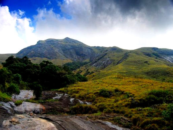 Munnar Weather Pictures: कोहरे के आगोश में केरल का स्वर्ग 'मुन्नार ...