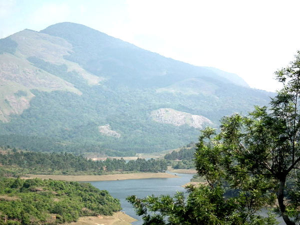 Munnar Weather Pictures: कोहरे के आगोश में केरल का स्वर्ग 'मुन्नार ...