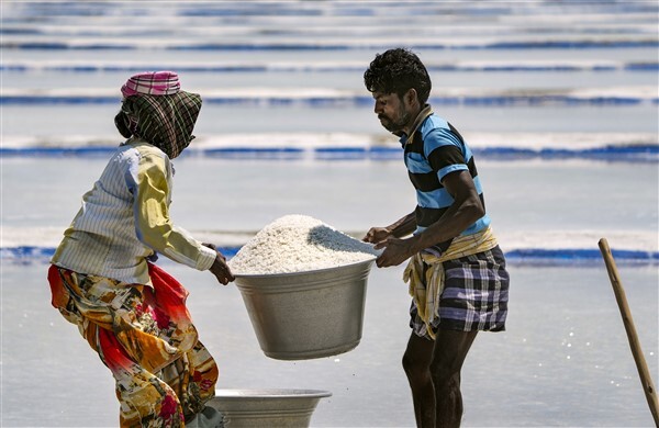 Labourers Work At A Salt Pan At Vedaranyam, In Nagapattinam District ...