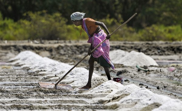 Labourers Work At A Salt Pan At Vedaranyam, In Nagapattinam District ...