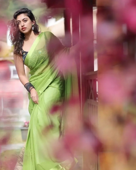 photos : பச்சை நிறமே பச்சை நிறமே.. நடிகை நிஷ்மா செங்கப்பாவின் ஸ்டன்னிங் ...