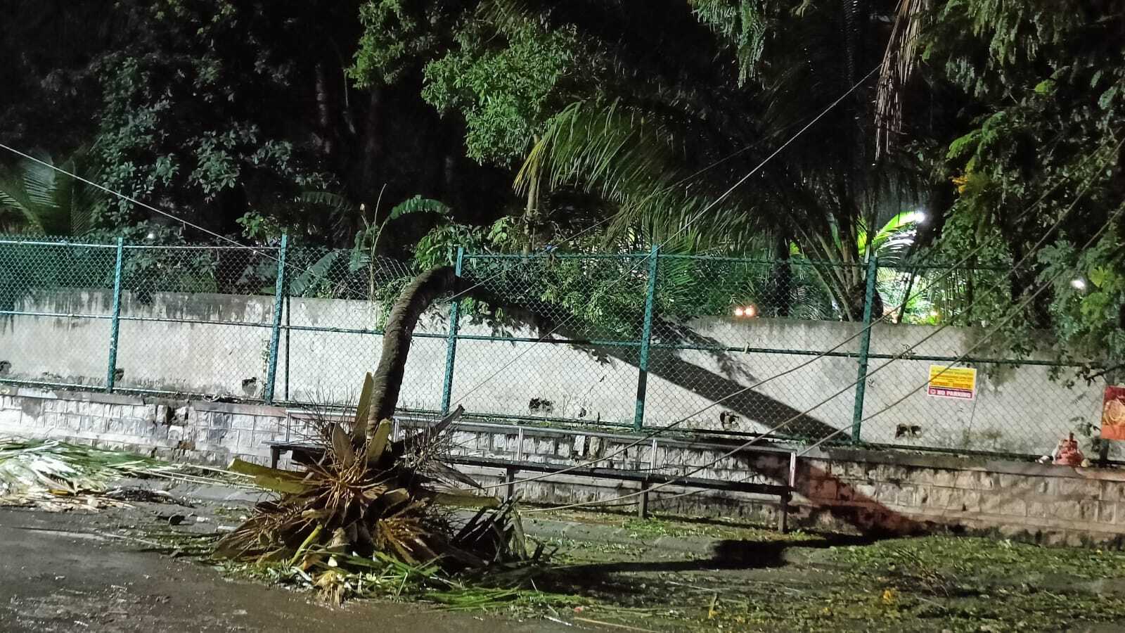 Karnataka: Heavy rains wreak havoc in Bengaluru, See Photos - Oneindia