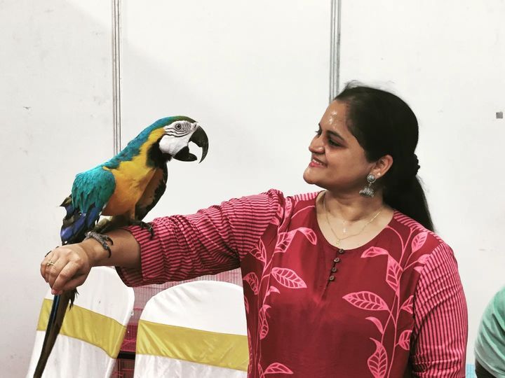 PHOTOS : சீரியல் நடிகை ஸ்வேதா பாரதியை நியாபகம் இருக்கா? இணையத்தை ...