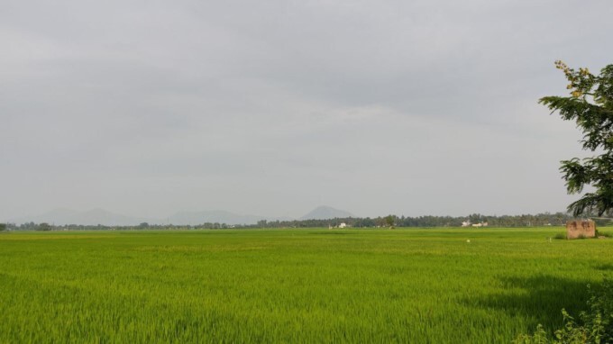 Chamarajangar Wonderful scenes of inextricable relationship between ...