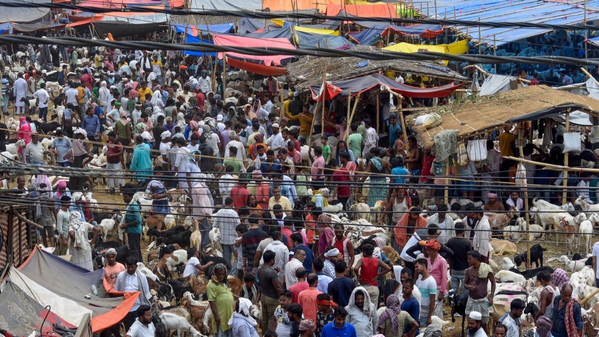 ಬಕ್ರೀದ್ : ದೇಶದ ಹಲವು ನಗರಗಳಲ್ಲಿ ಕುರಿ-ಮೇಕೆ ಭರ್ಜರಿ ಮಾರಾಟ | Crowded Livestock Markets Ahead Of 'Eid ...