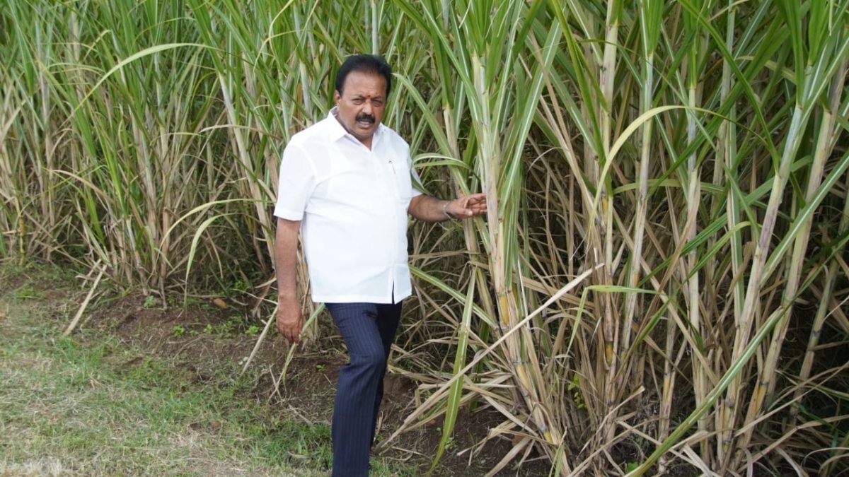 ಮಂಡ್ಯದ ವಿಸಿ ಫಾರಂಗೆ ಕೃಷಿ ಸಚಿವ ಚೆಲುವರಾಯಸ್ವಾಮಿ ಭೇಟಿ | Agriculture Minister ...